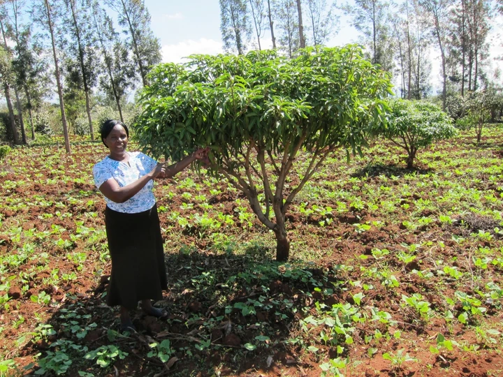 Benefits | TIST Program